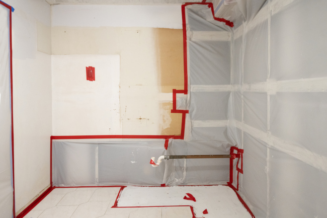What You Need to Know About Mold Remediation | AdvantaClean of Cabarrus ...